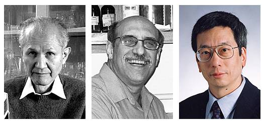 Premio Nobel de Química 2008 para los descubridores de la proteina ...