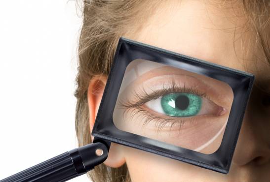 Un nuevo mapa de actividad cerebral revela cómo se desarrolla la visión