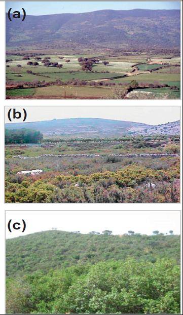 La actividad rural tradicional, una oportunidad para los espacios ...