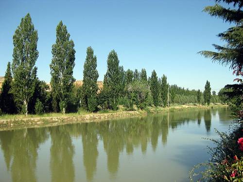 Proponen nuevas estrategias para la protección y conservación de la ...
