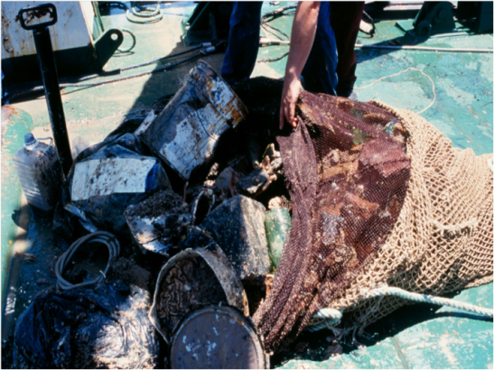 Un estudio internacional revela graves problemas de basura en el mar